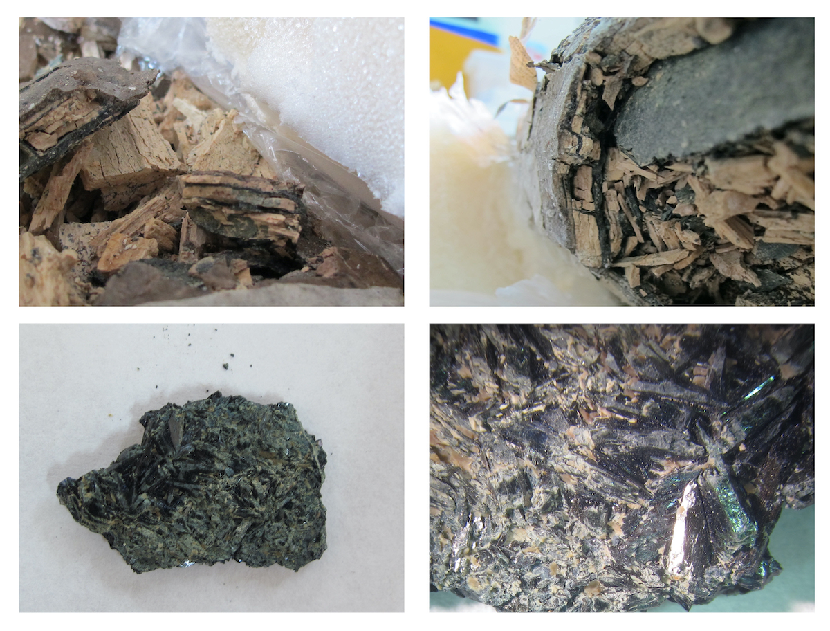 Proyectos de Conservación